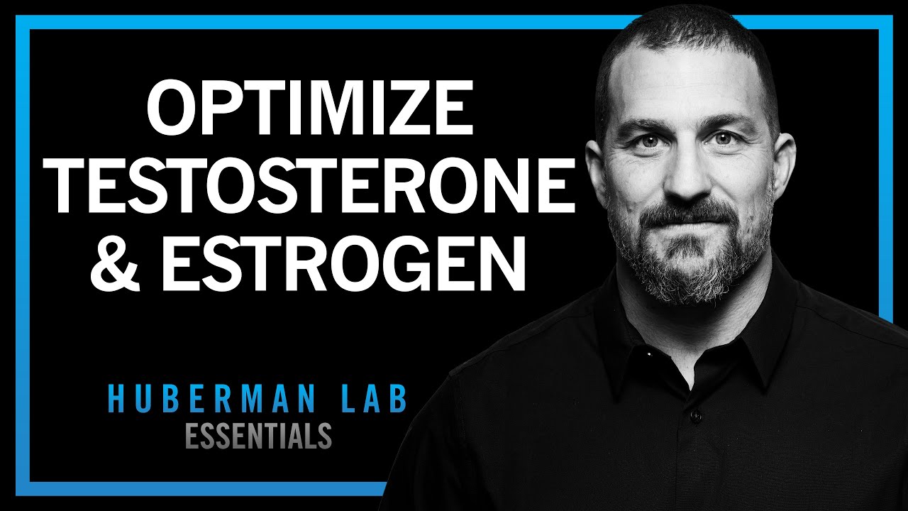 How to Optimize Testosterone & Estrogen | Huberman Lab Essentials ...