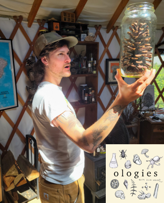 Dendrology (TREES) | Casey Clapp on Ologies with Alie Ward • Podcast Notes