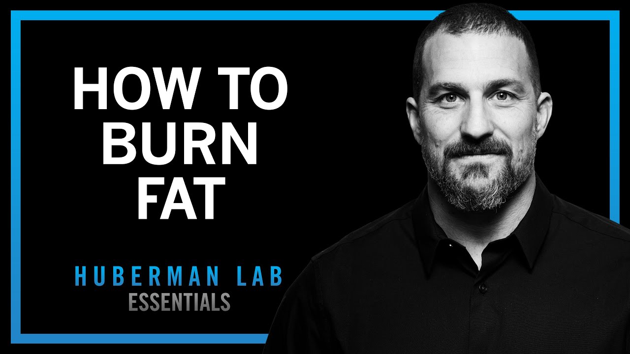 Lose Fat With Science-Based Tools | Huberman Lab Essentials • Podcast Notes