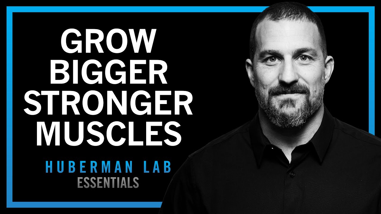 Build Muscle Size, Increase Strength & Improve Recovery | Huberman Lab ...