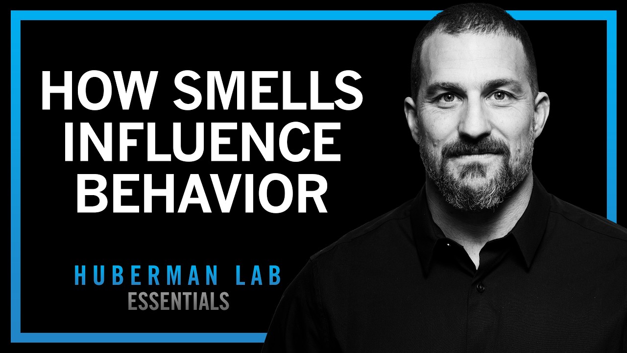 How Smell, Taste & Pheromones Shape Behavior | Huberman Lab Essentials ...