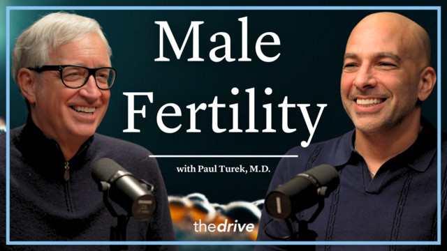 Paul Turek, M.D.: Male Fertility—Optimizing Reproductive Health ...