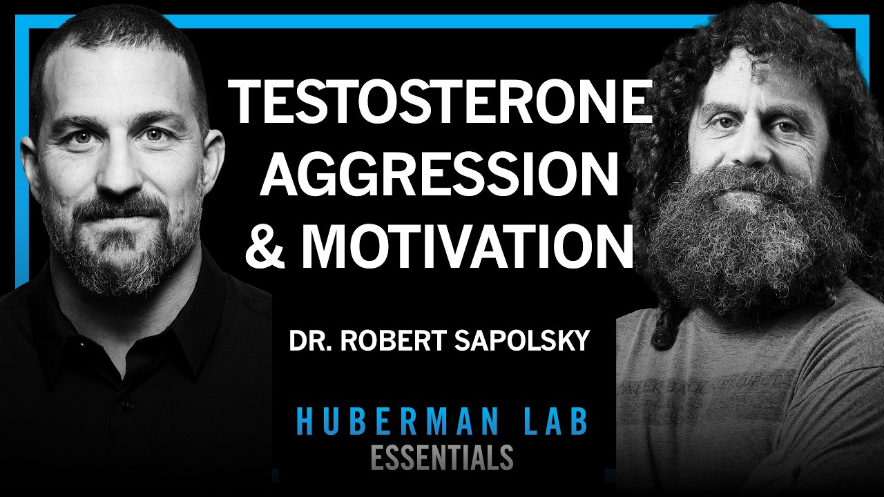 Essentials: Science of Stress, Testosterone, Aggression & Motivation ...