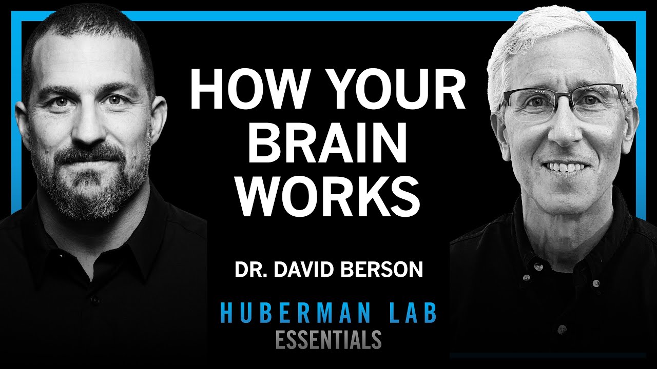 Essentials: How Your Brain Functions & Interprets the World | Dr. David ...